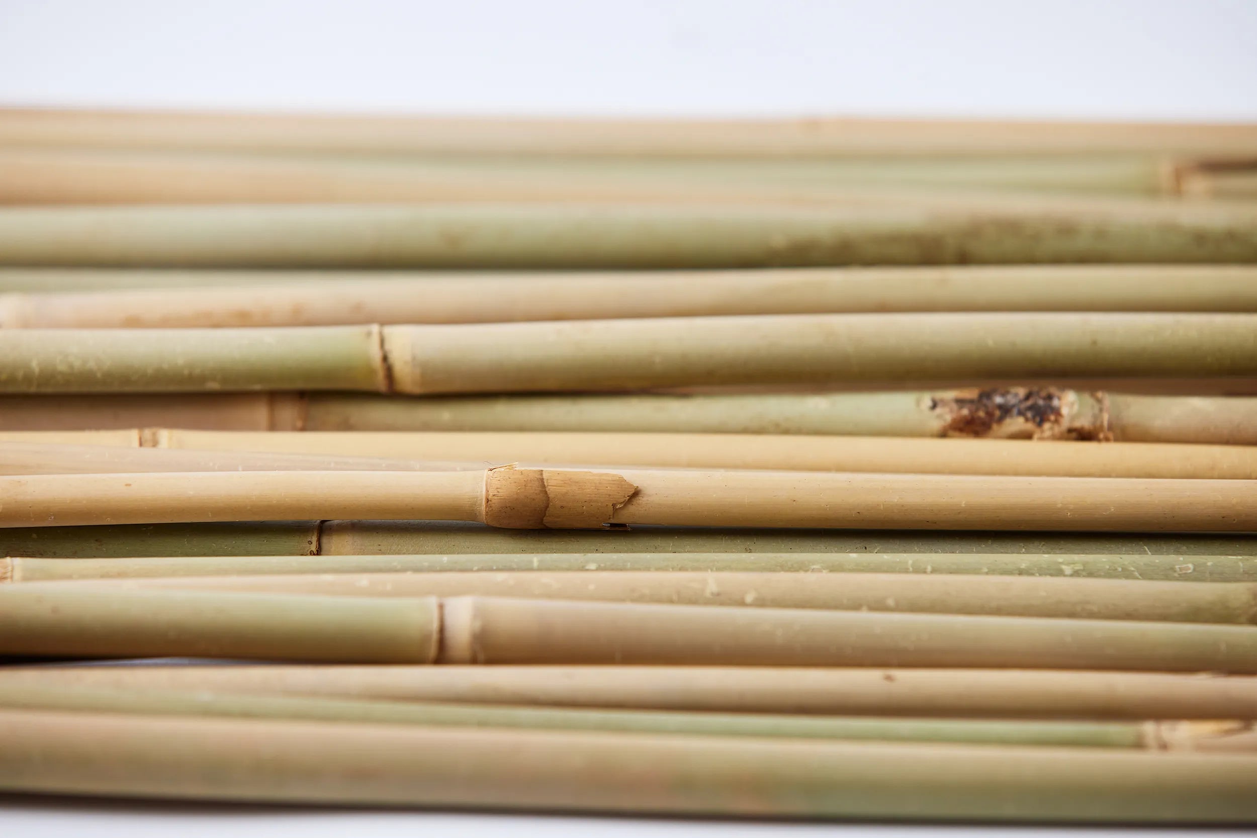 why bumboo's unbleached bamboo paper varies in colour: a guide to natu