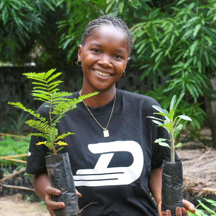 Bumboo | Tree Free Toilet Paper