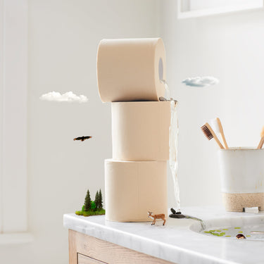 Bumboo | Bamboo Toilet Paper | B Corp