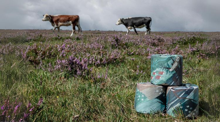 Bumboo | Bamboo Toilet Paper | B Corp